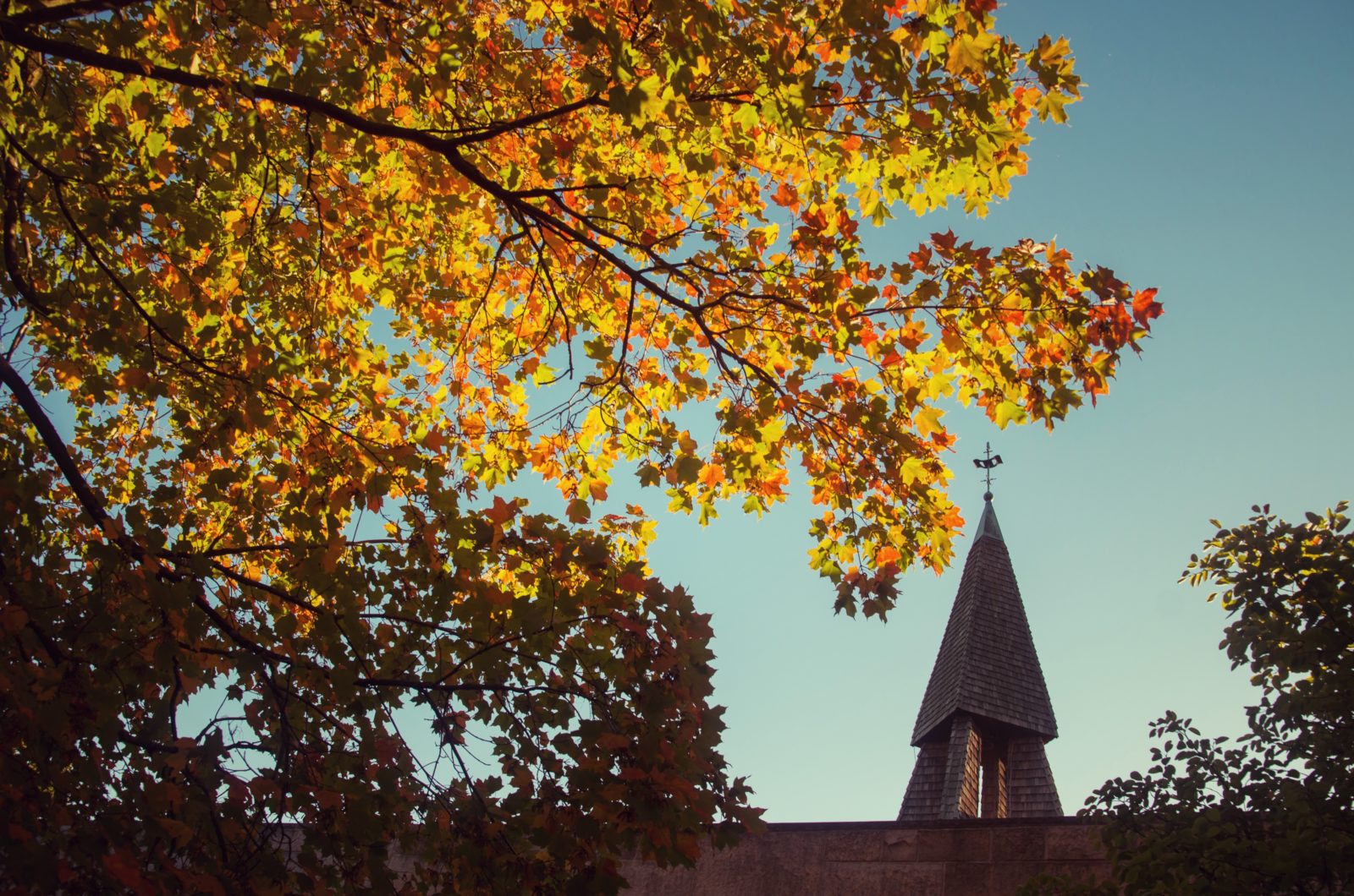 The Foundations of Biblical Counseling: Theology Proper and the ...
